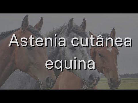 Resumo - Astenia cutânea em equinos - YouTube