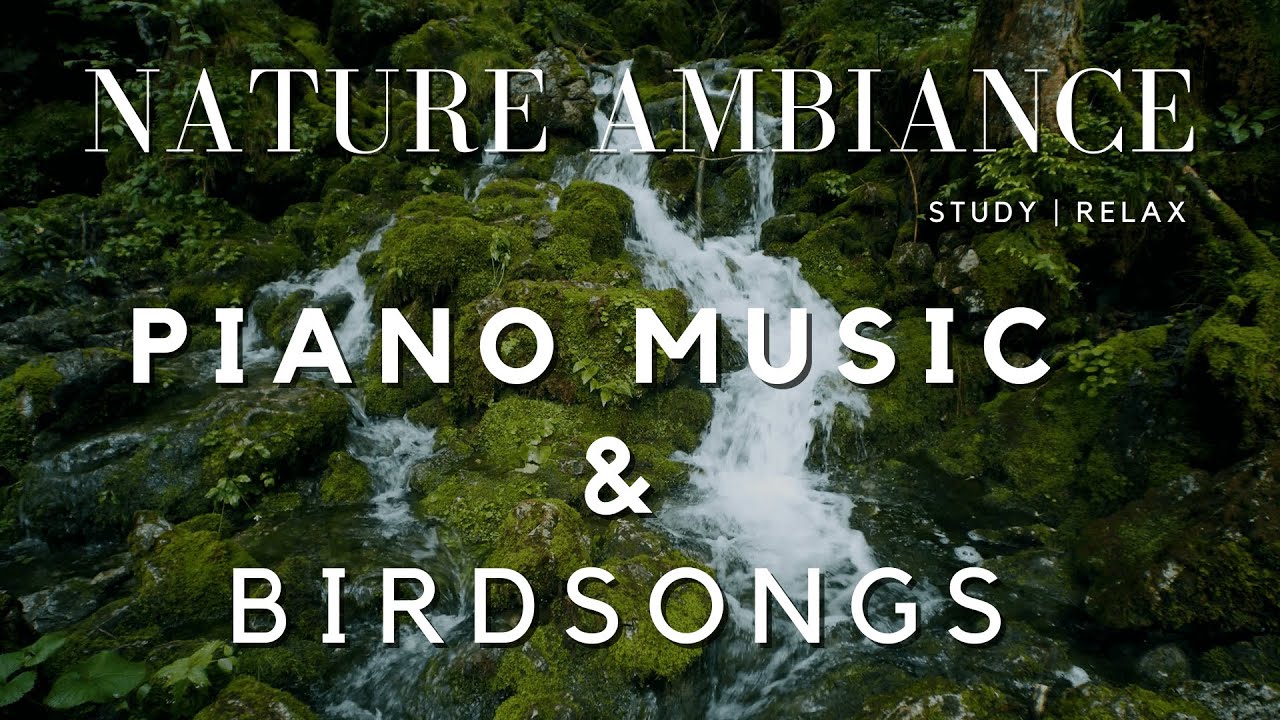 Relaxing Nature Sounds and Water Sounds | Nature Ambiance | Calming ...