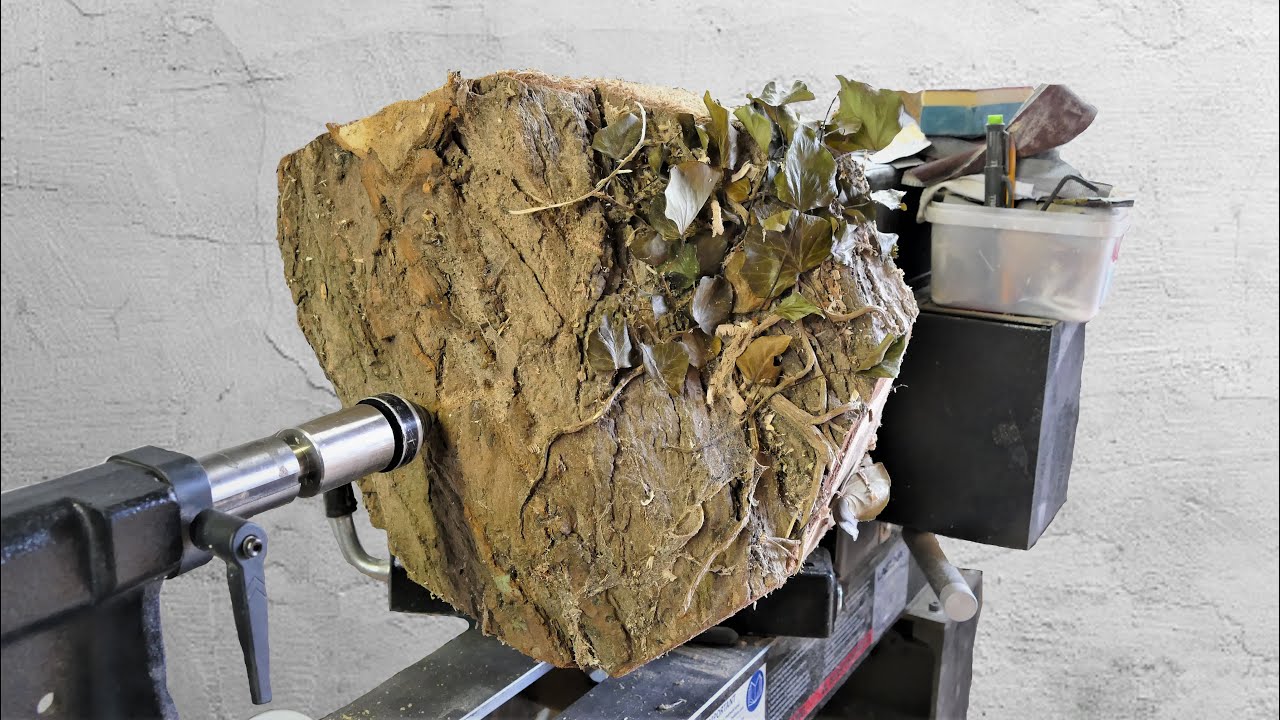 Woodturning - A Crusty Old Log! - YouTube