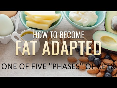 5 Phases of Keto - Be ready for them. No reason, in 2020, to get caught ...
