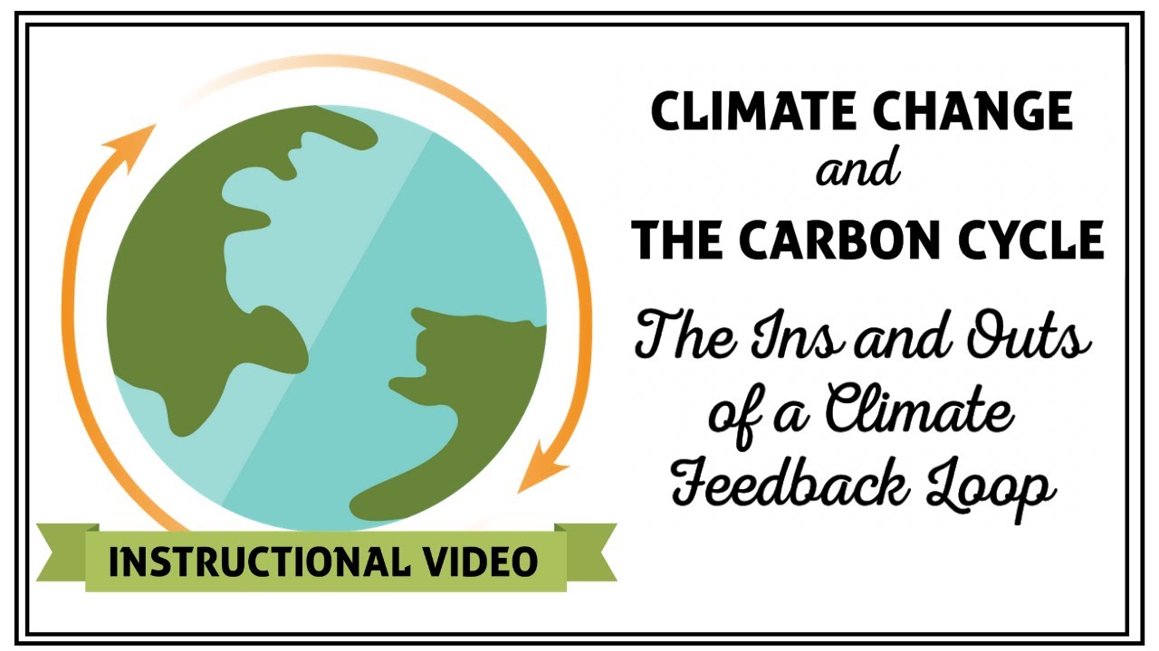 The Ins and Outs of a Climate Feedback Loop Instructional Video - YouTube