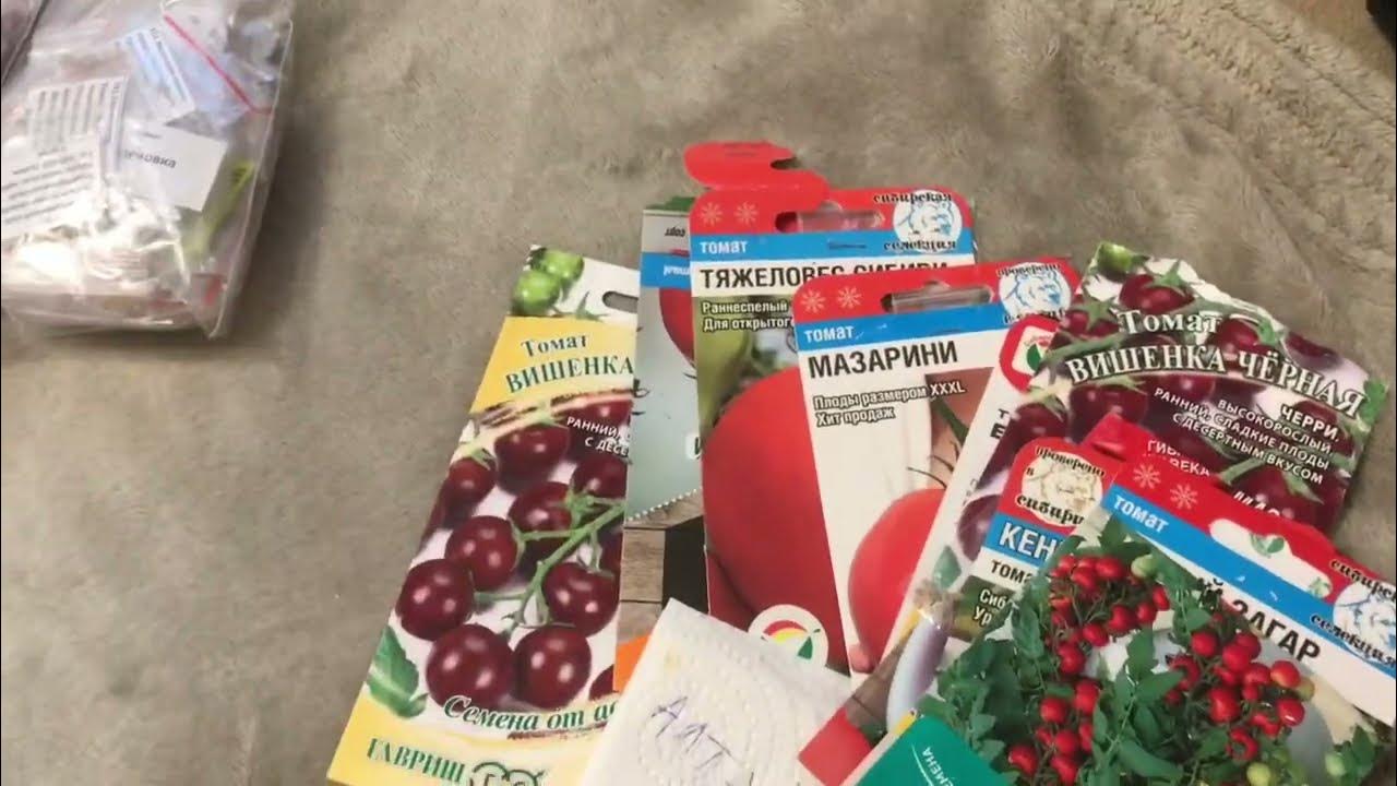 Купила семена биколор томатов в следующему сезону Youtube
