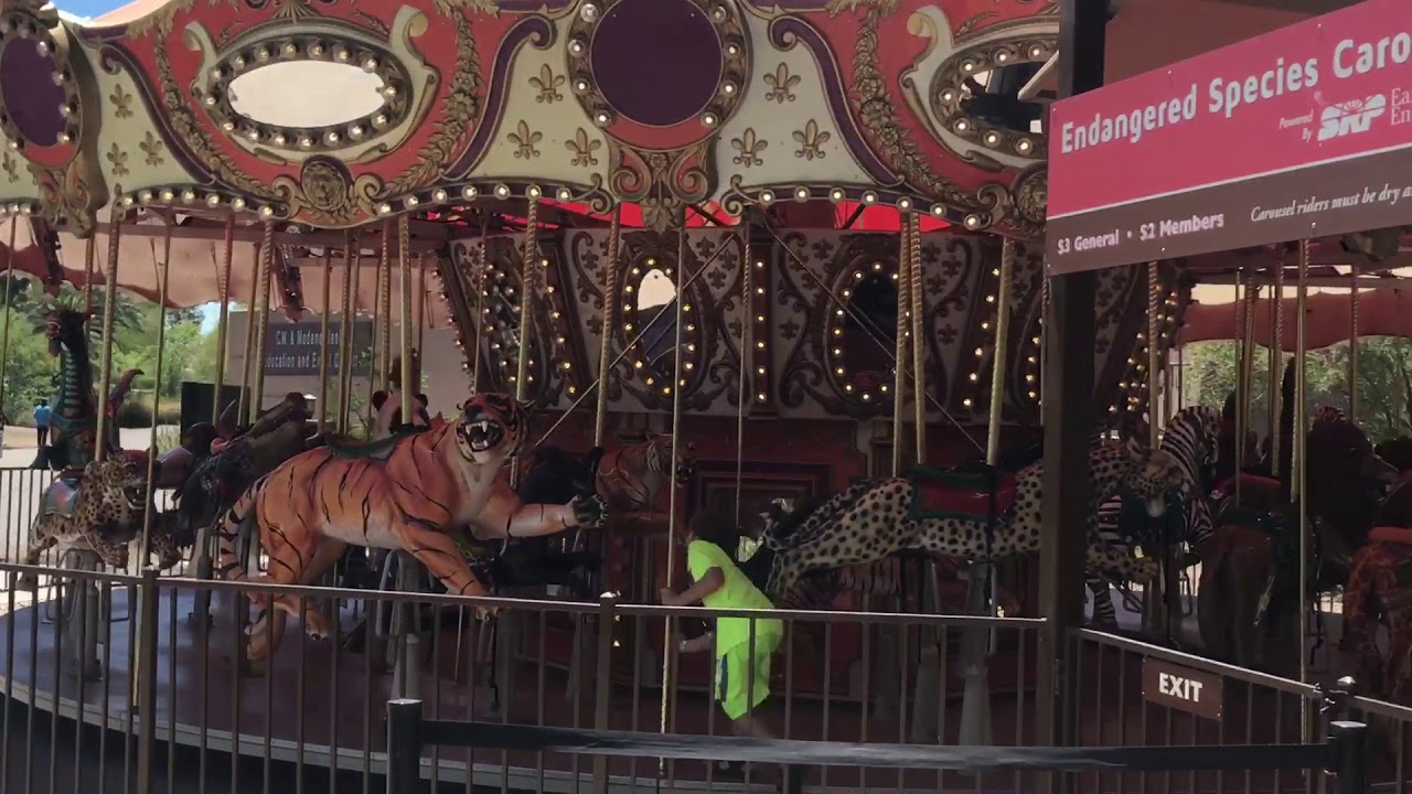 Phoenix Zoo Carousel - YouTube
