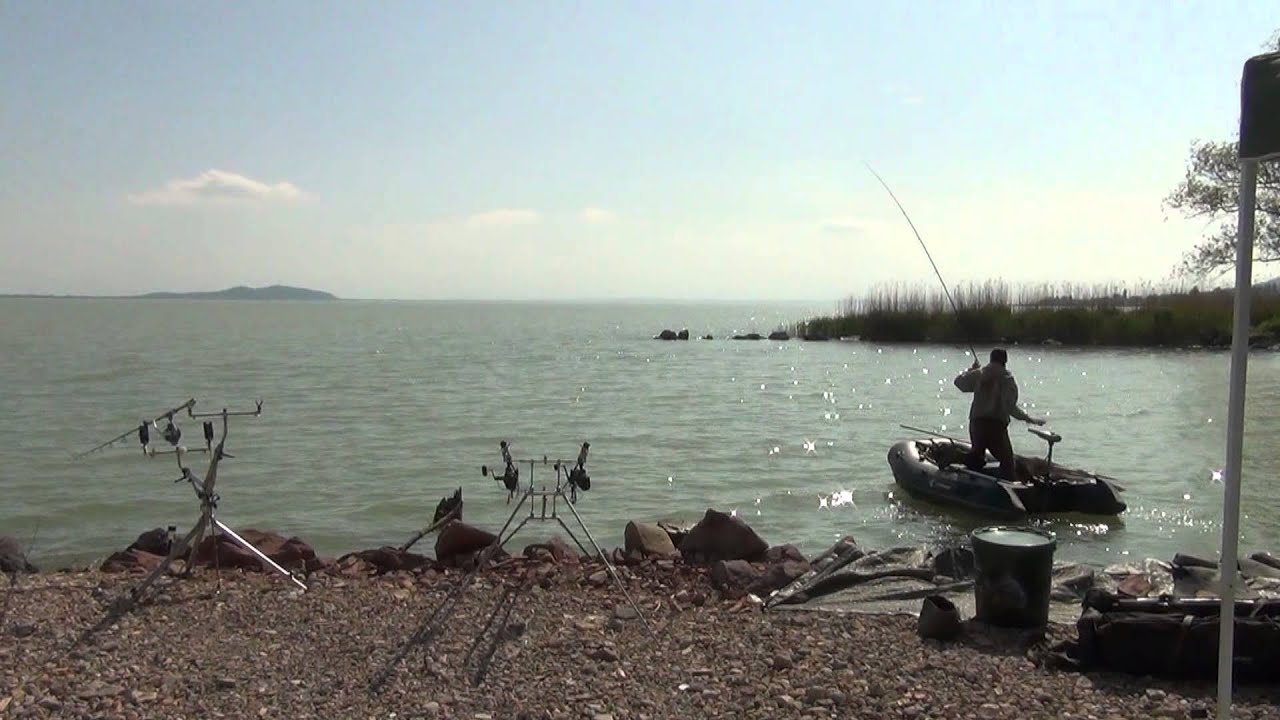 Big Carp fishing on the Lake Balaton with Zsolt Bundik - YouTube