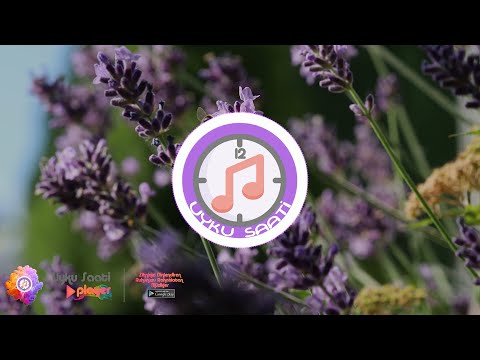 Piyano'nun Eşsiz Sesi ile Huzurlu Hissedin