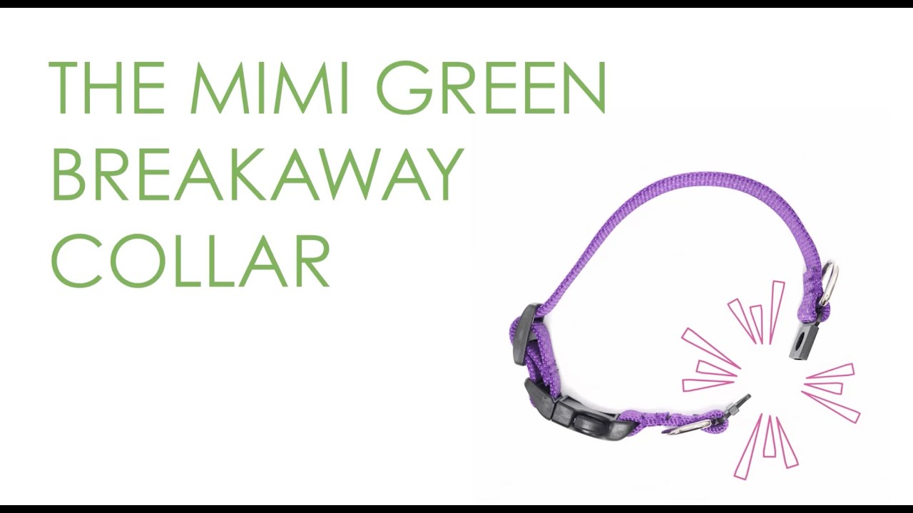 How Do Breakaway Dog Collars Work? - YouTube