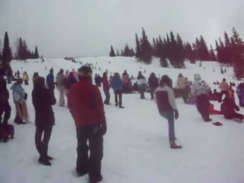 Accounting Barbie down Hill Dummy - YouTube