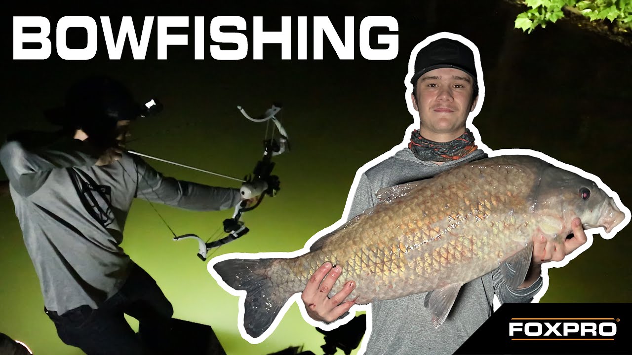 Bowfishing Silver Carp - Long Nose Gar - Buffalo Carp - YouTube