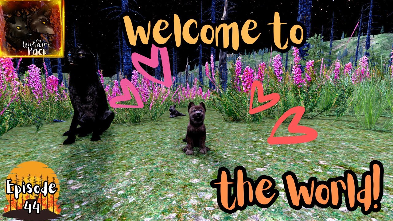 New life brings joy to the pack | Wolfquest Saga | Wildfire Pack Legacy ...