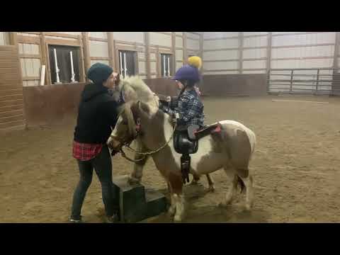 Trick Riding on Shetland Ponies - YouTube