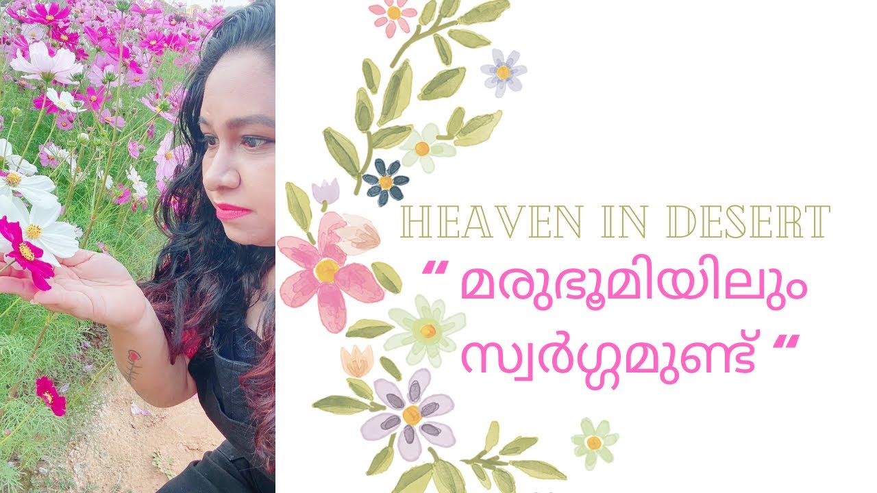 A must visit place in winter in ras al khaimah /Uae Flower Farm ...