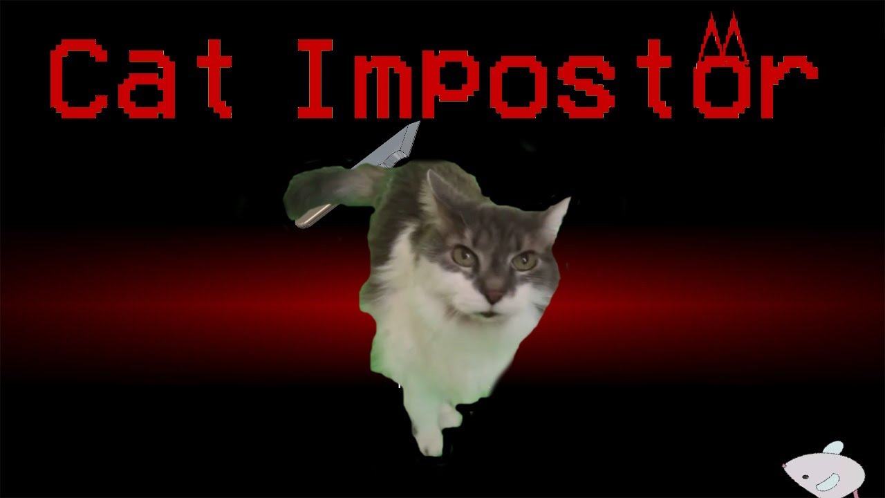 My cat plays Among As as the KITTY IMPOSTER! 🐱 (My cat played Among Us ...