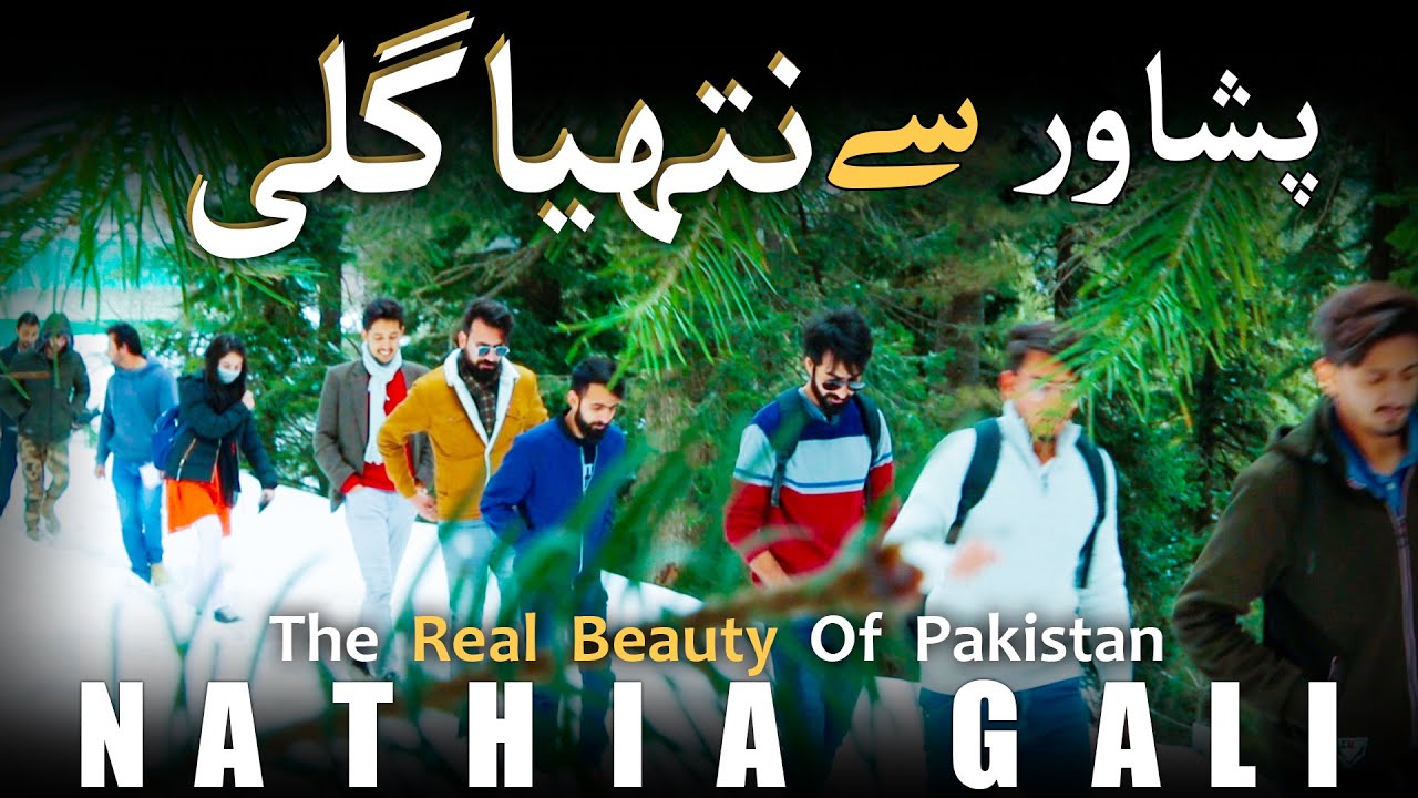One Day Trip to Nathi Gali || The Reall Beauty of Pakistan Nathia Gali ...