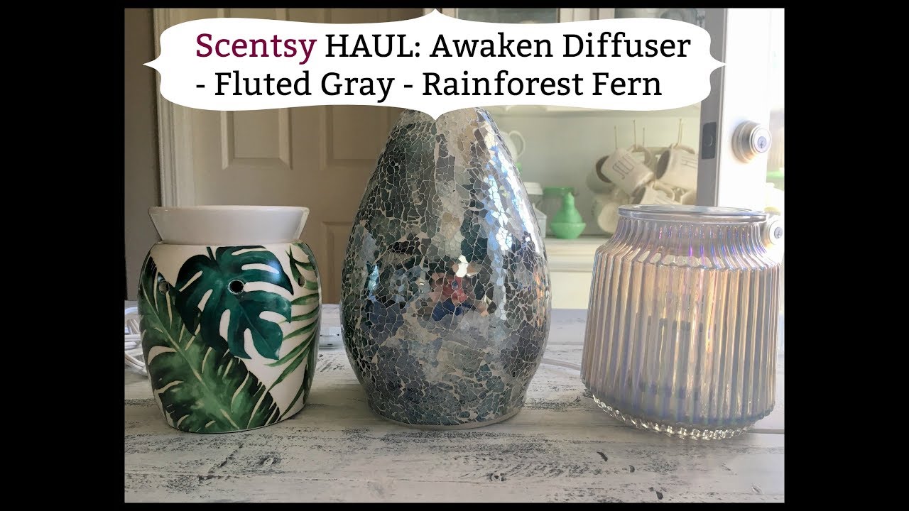 Scentsy HAUL: Awaken Diffuser, Rainforest Fern and Fluted Gray Warmers ...