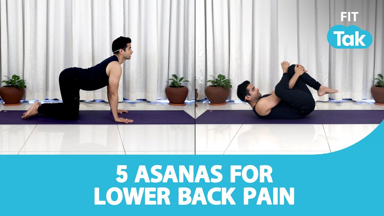 5 Asanas For Lower Back Pain | Fit Tak | Yoga | Fitness | Lower Back ...