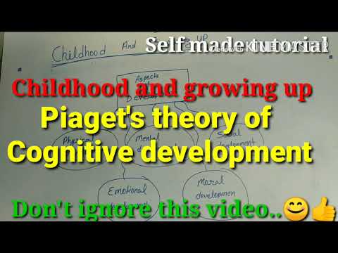Piaget's theory of Cognitive development, B. Ed 1st year Crash course ...