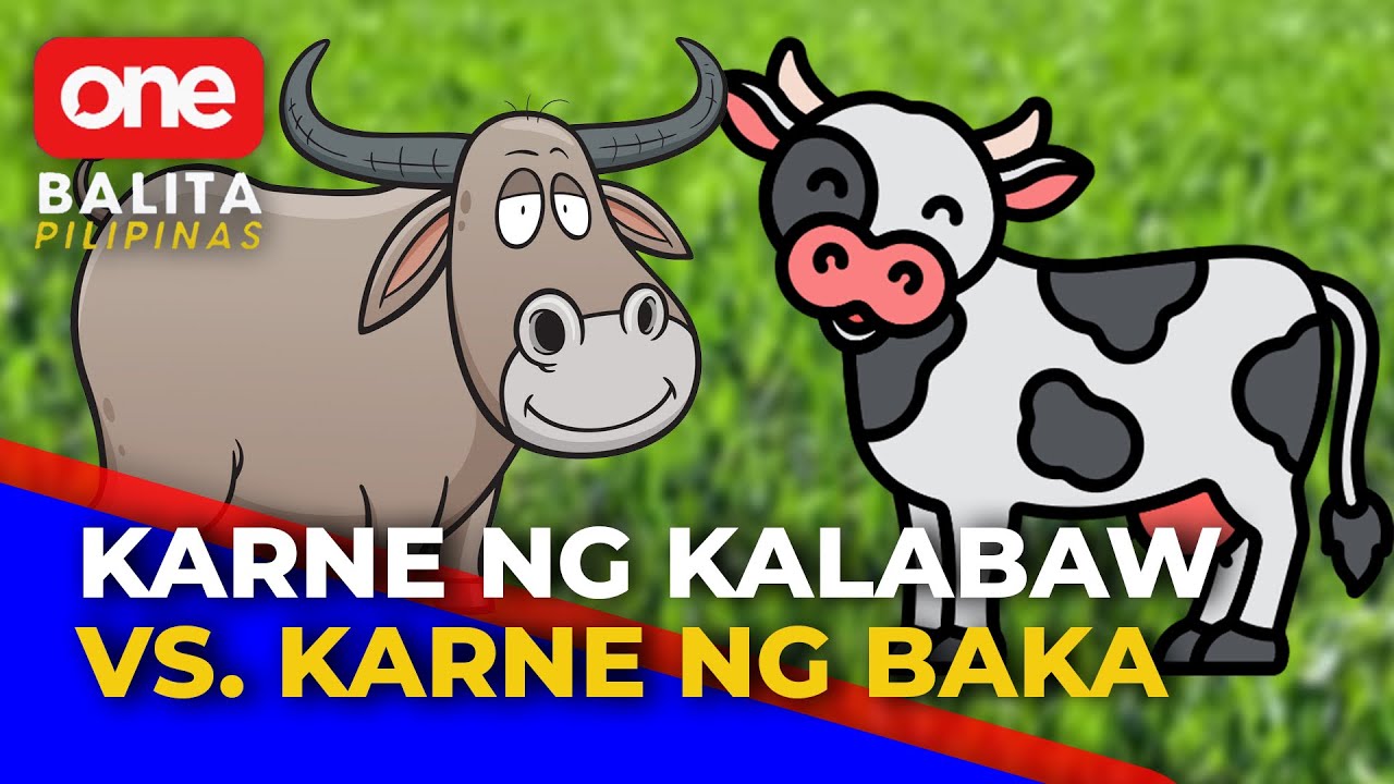 Pagkakaiba ng karne ng kalabaw at baka - YouTube