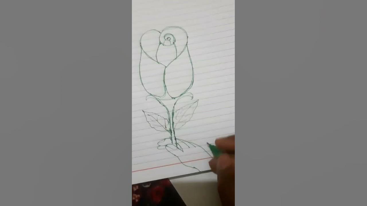 rose drawing - YouTube