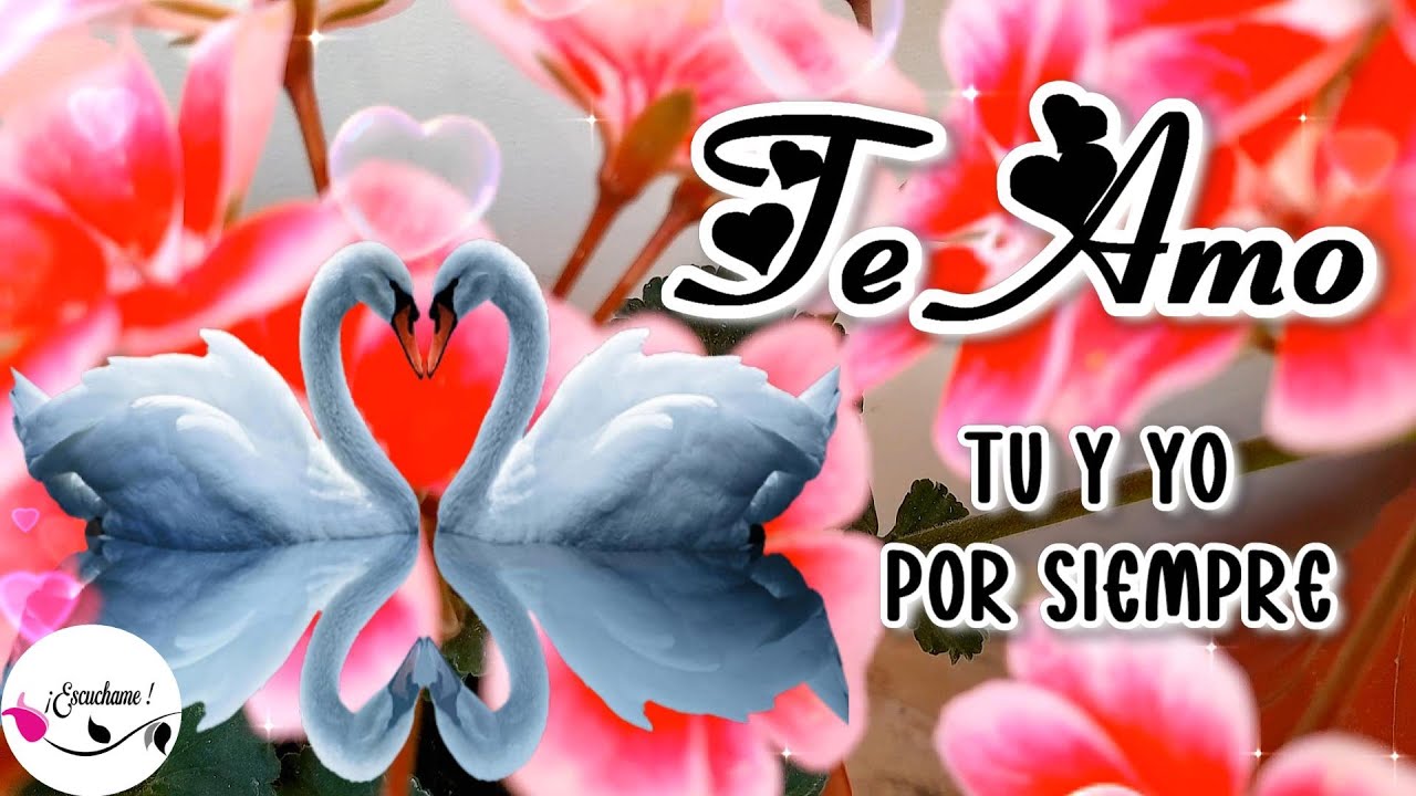 TÚ Y YO PARA SIEMPRE 💕 TE AMO ️ Mensajes de amor con bonito poema para ...