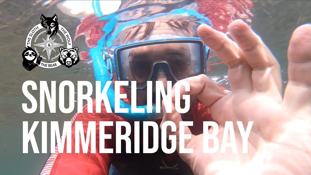 Snorkelling Kimmeridge Bay - The Kimmeridge Snorkel Trail, snorkelling ...