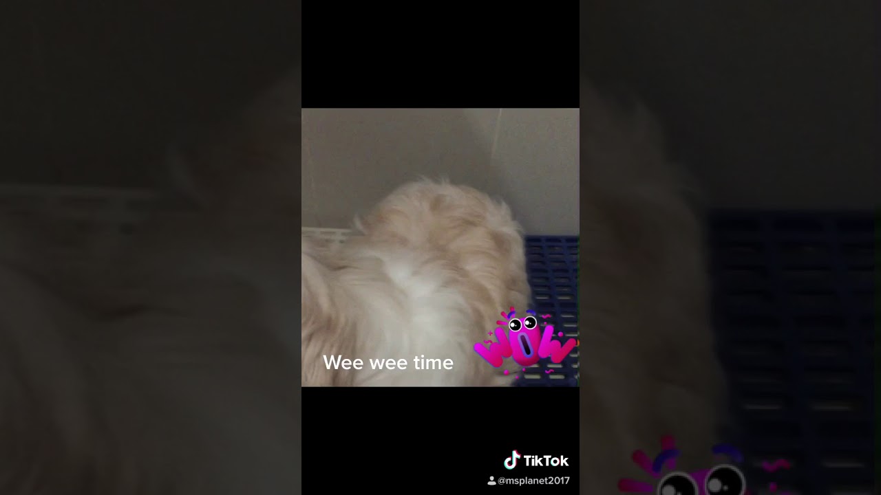 Wee wee time such a good girl - YouTube