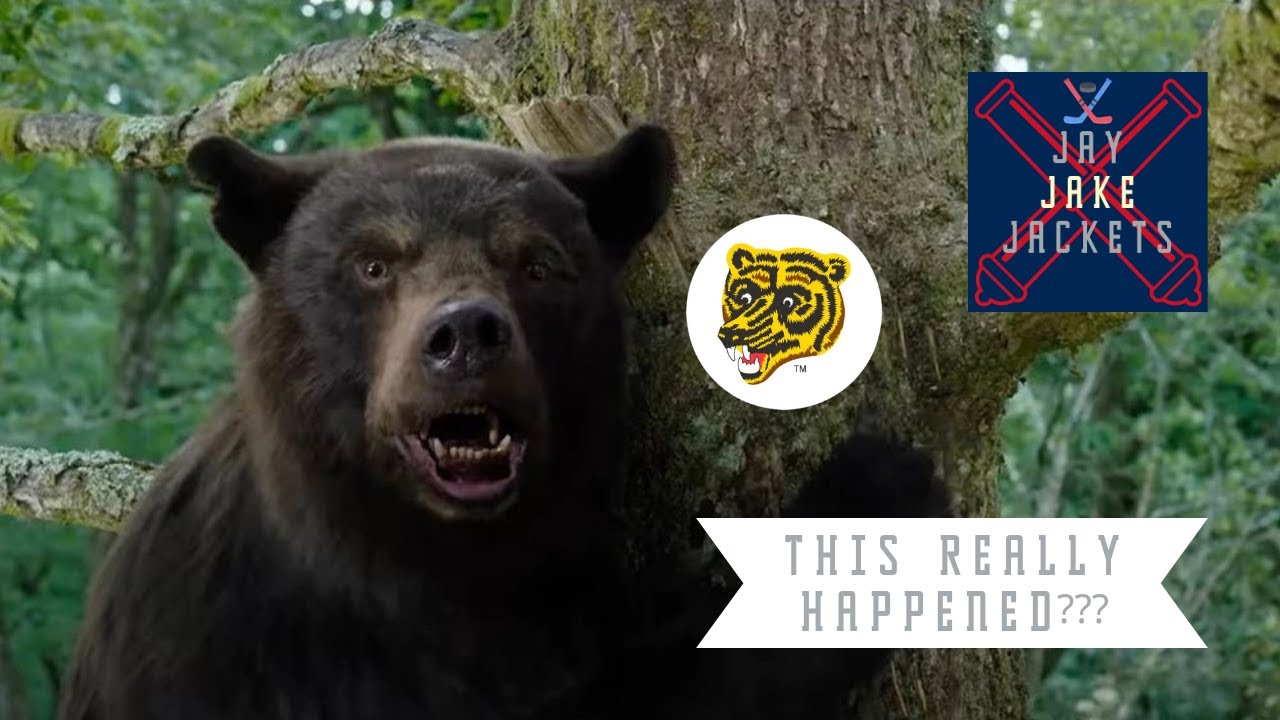 If you thought the Bruins Meth Bear was weird...check out Cocaine Bear ...