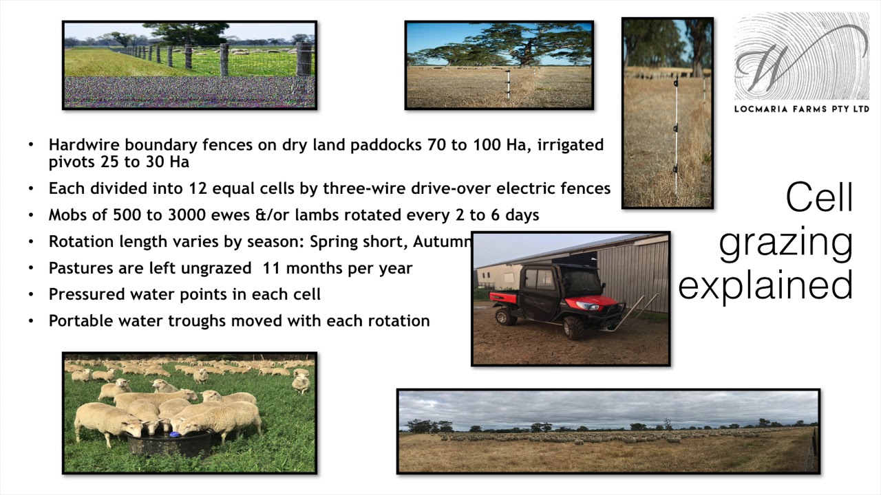 Techno grazing & pasture monitoring - YouTube