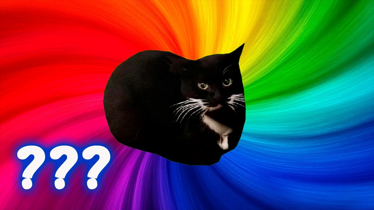 "Maxwell The Cat" Sound Variations in 34 Seconds - YouTube