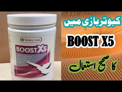 Boost x5 Used to get good results from pigeons/kabooter nuskha - YouTube