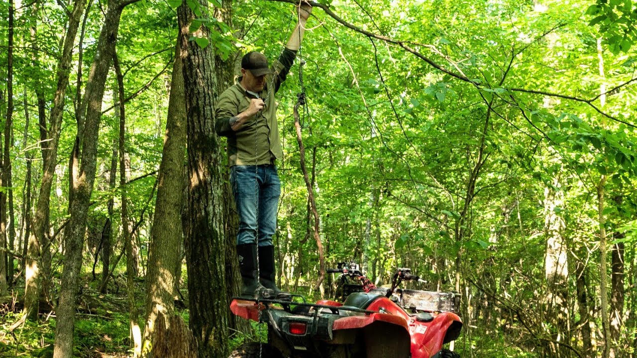 5 Ways to Use Mock Scrapes to Hunt Big Bucks - YouTube