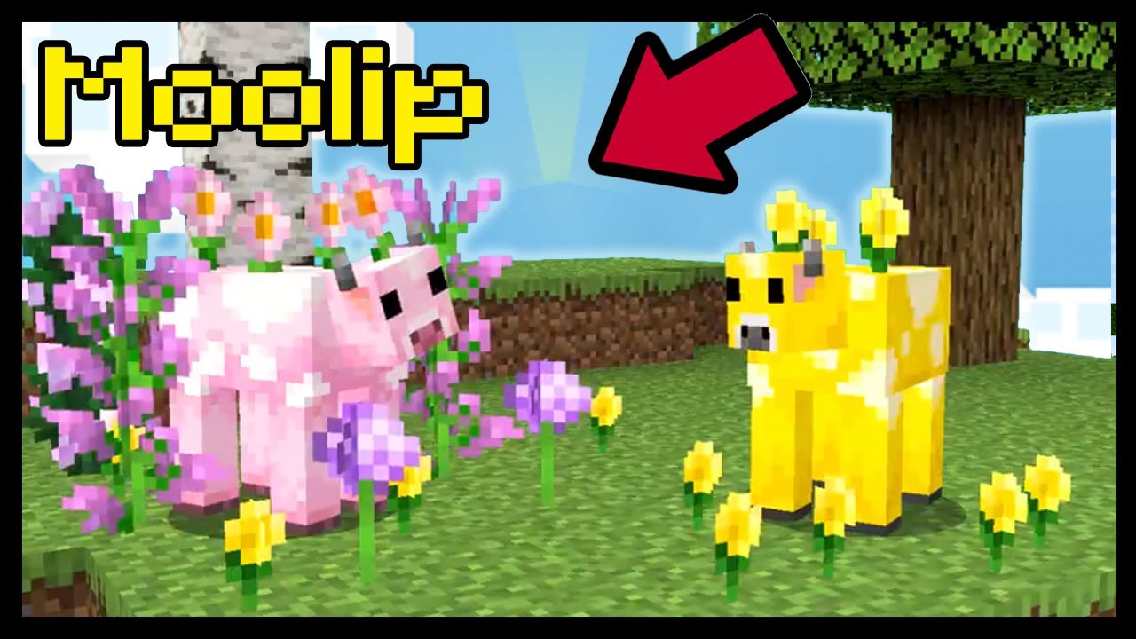 MINECRAFT - CONHEÇA A MOOLIP A NOVA AMIGA DA MOOBLOOM - YouTube