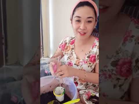 Yuk Luluran Bersama Bunda Cantik