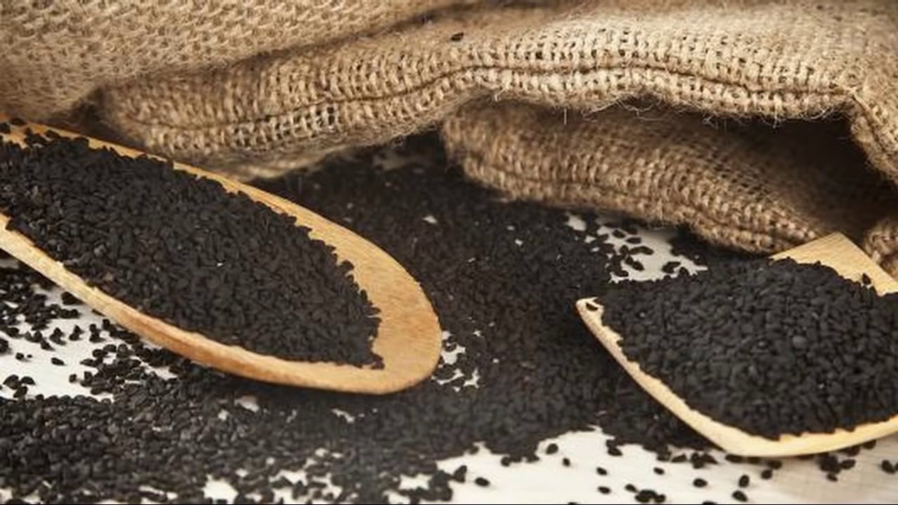 ما هي حبة البركة الطب البديل 🍵 Youtube