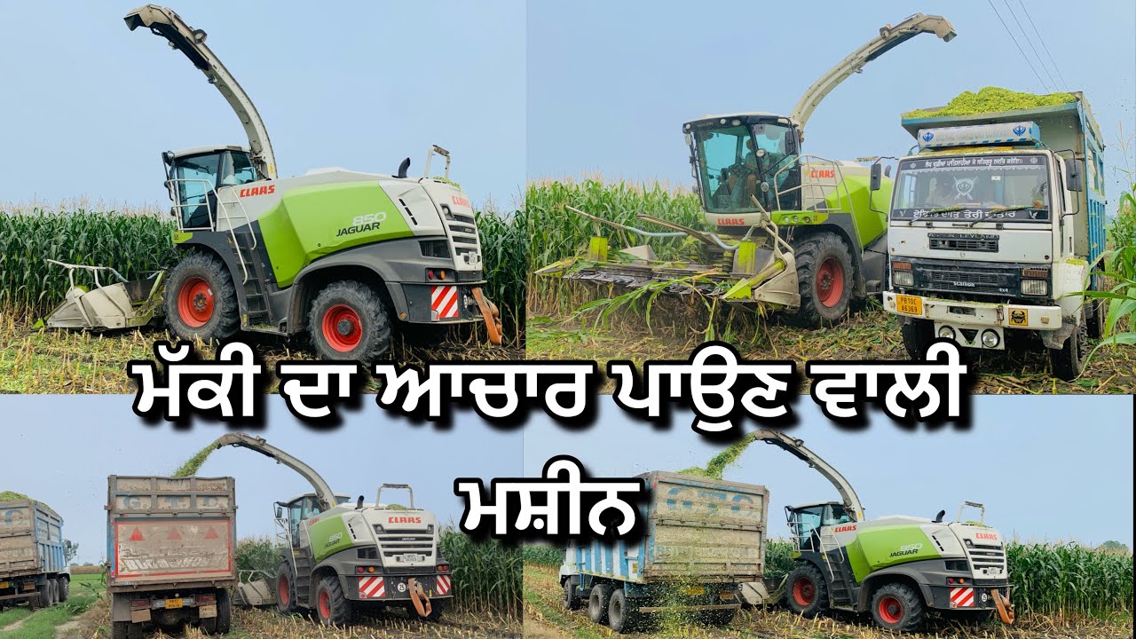 achar wali machine | makki da rate | makki da achar | makki da rate in ...