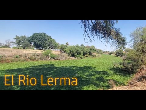 El Rio Lerma, La Barca, Jalisco - YouTube