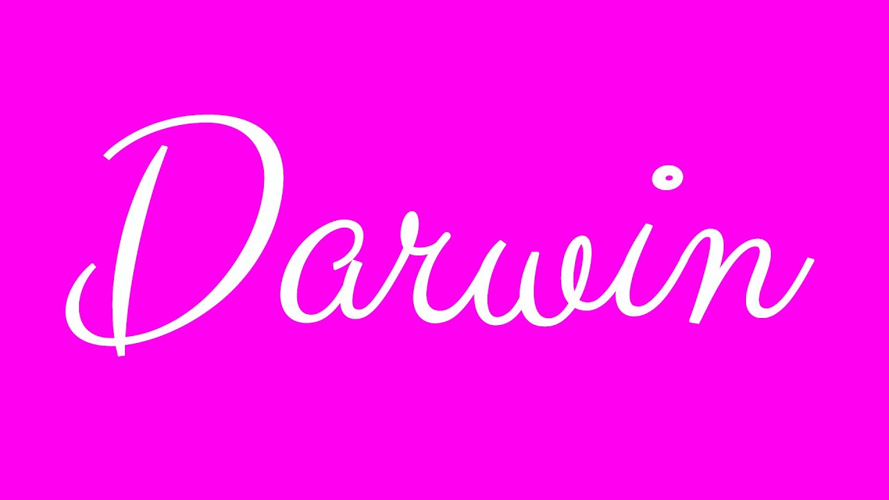 Learn how to Sign the Name Darwin Stylishly in Cursive Writing - YouTube