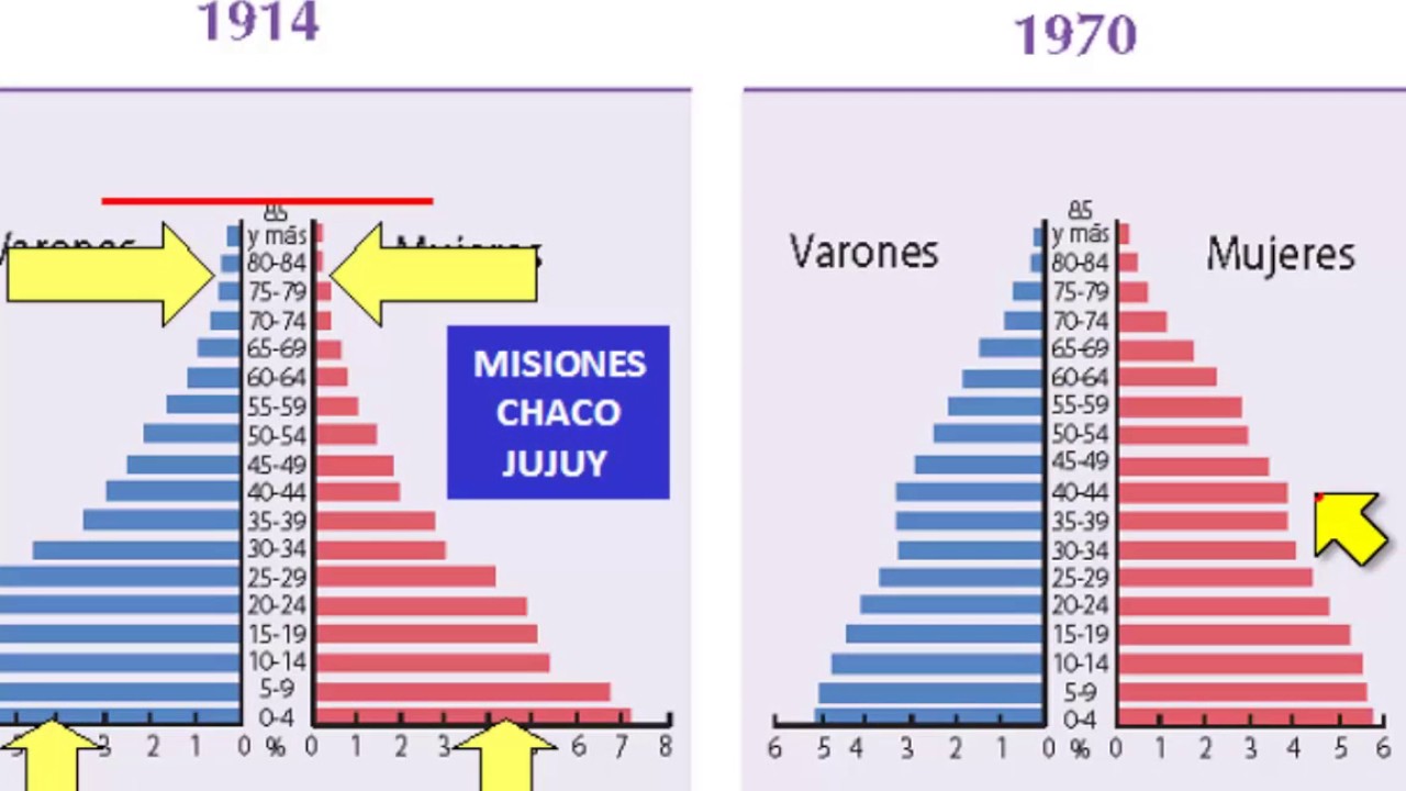 09 - Piramides Poblacionales en Argentina - YouTube