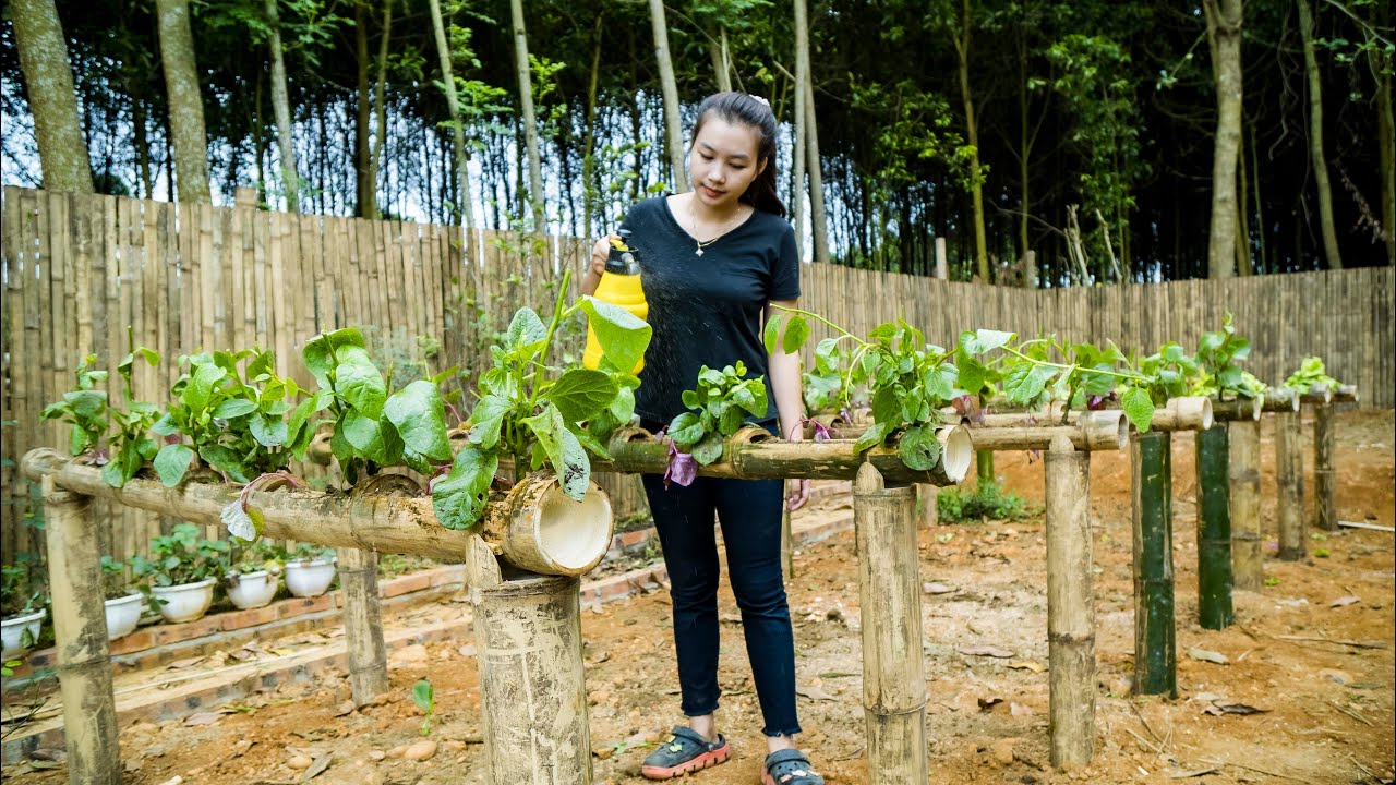 Technique growing vegetables in bamboo tubes, Building free farm | Thảo ...