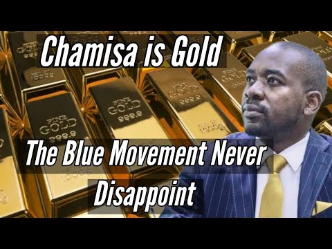 🟨 Chamisa is Gold - The Blue Movement Crash Zanu PF and Mnangagwa 🇿🇼 ...