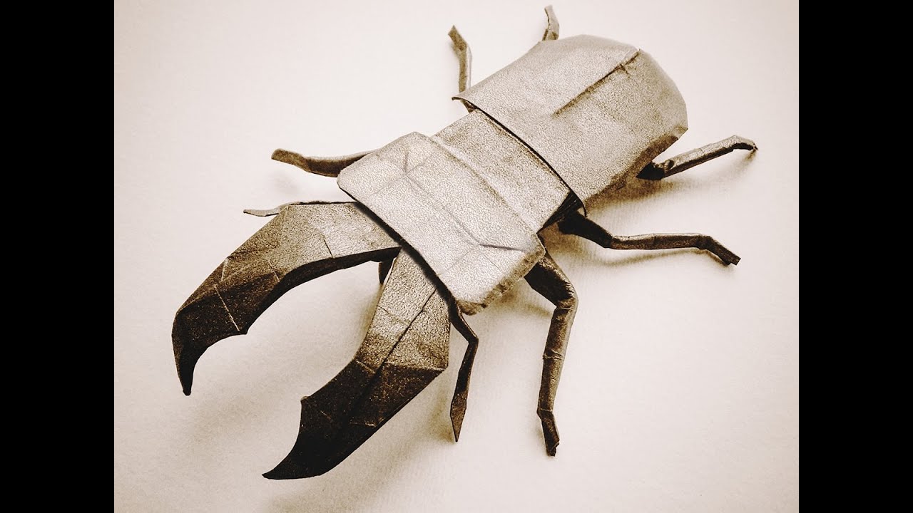 Complex Origami Beetle Diagrams