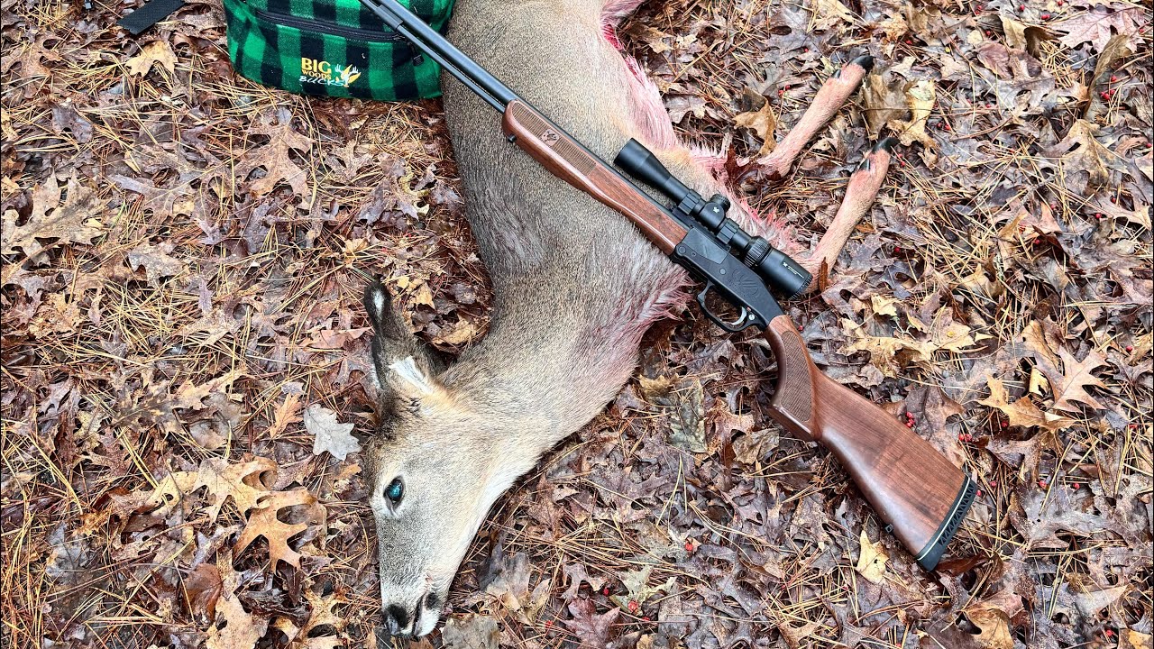 Last day of deer season, doe down! - YouTube