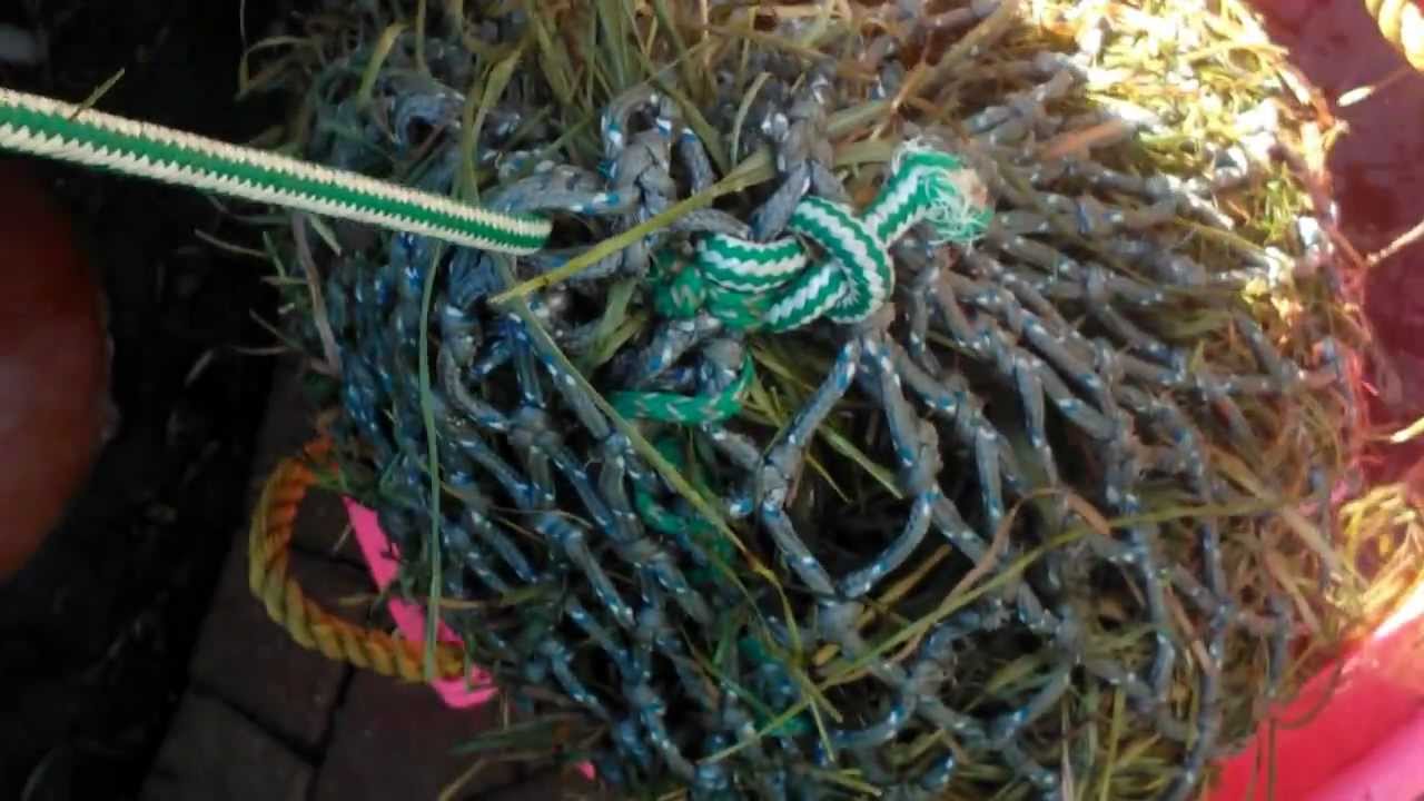 Soaking Hay in a NETgrazer- Hay nets to feed horses and other foraging ...