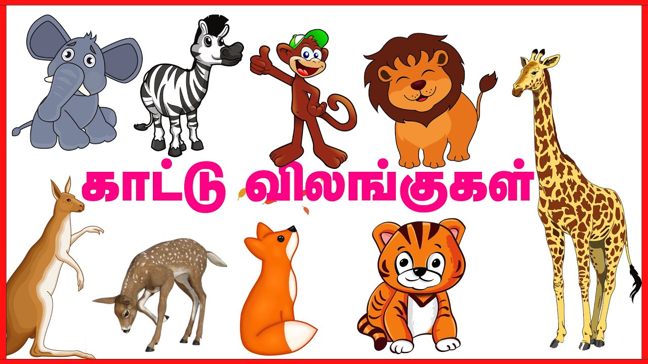 காட்டு விலங்குகள் | Learn Wild Animals Name in Tamil for Kids | Kids ...