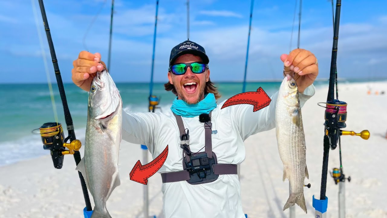 Fishing the BEACH with 10 GIANT Baits at One Time!!! - YouTube