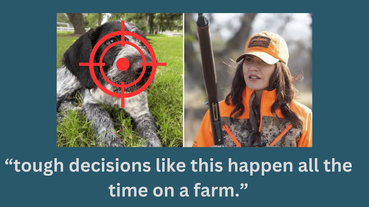 Gov. Kristi Noem Shoots Her Dog (and Herself in the Foot) - YouTube