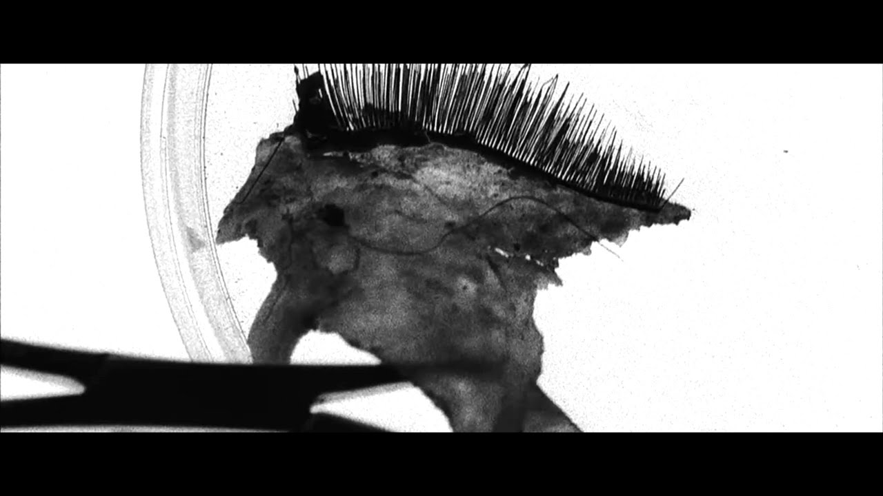 Keep Your Eyes Peeled Intense Dark Ambient Horror Soundtrack Scary Horror Ambience Youtube