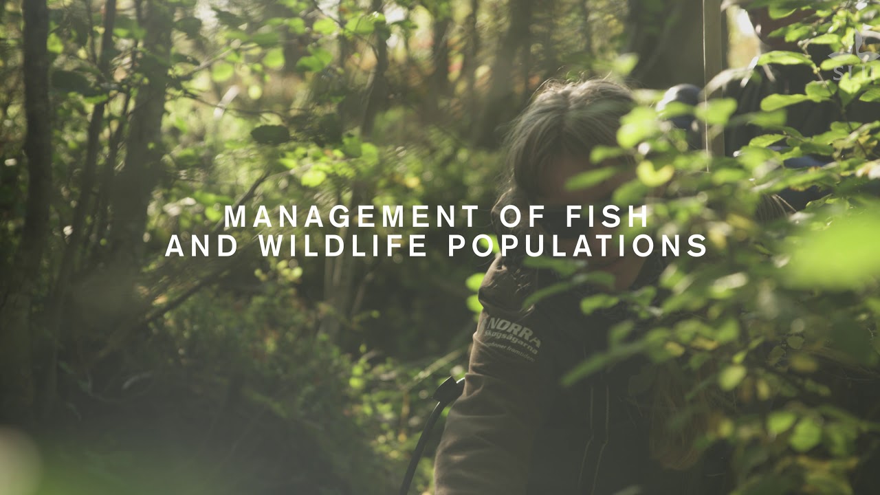 Management of Fish and Wildlife Populations - YouTube