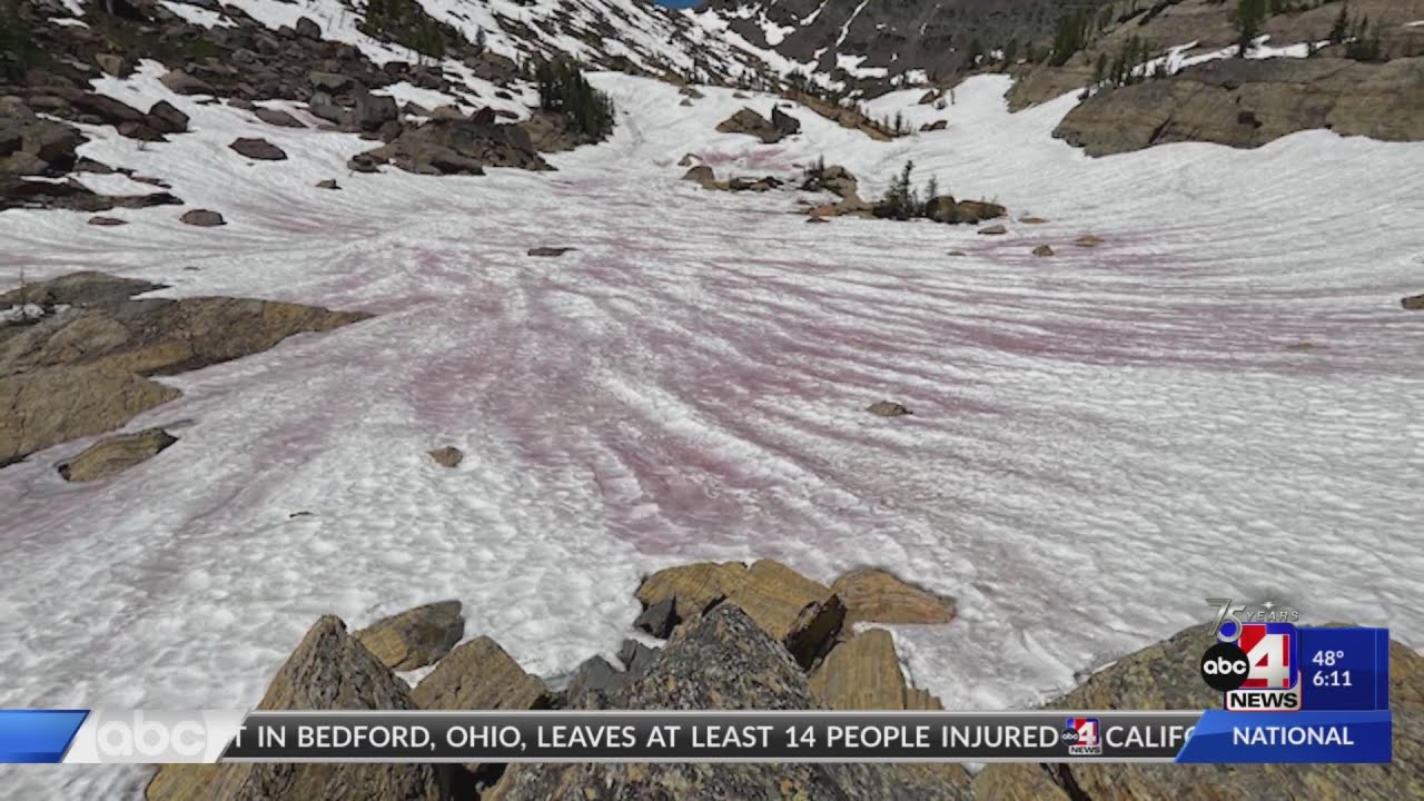 "Watermelon Snow" - YouTube