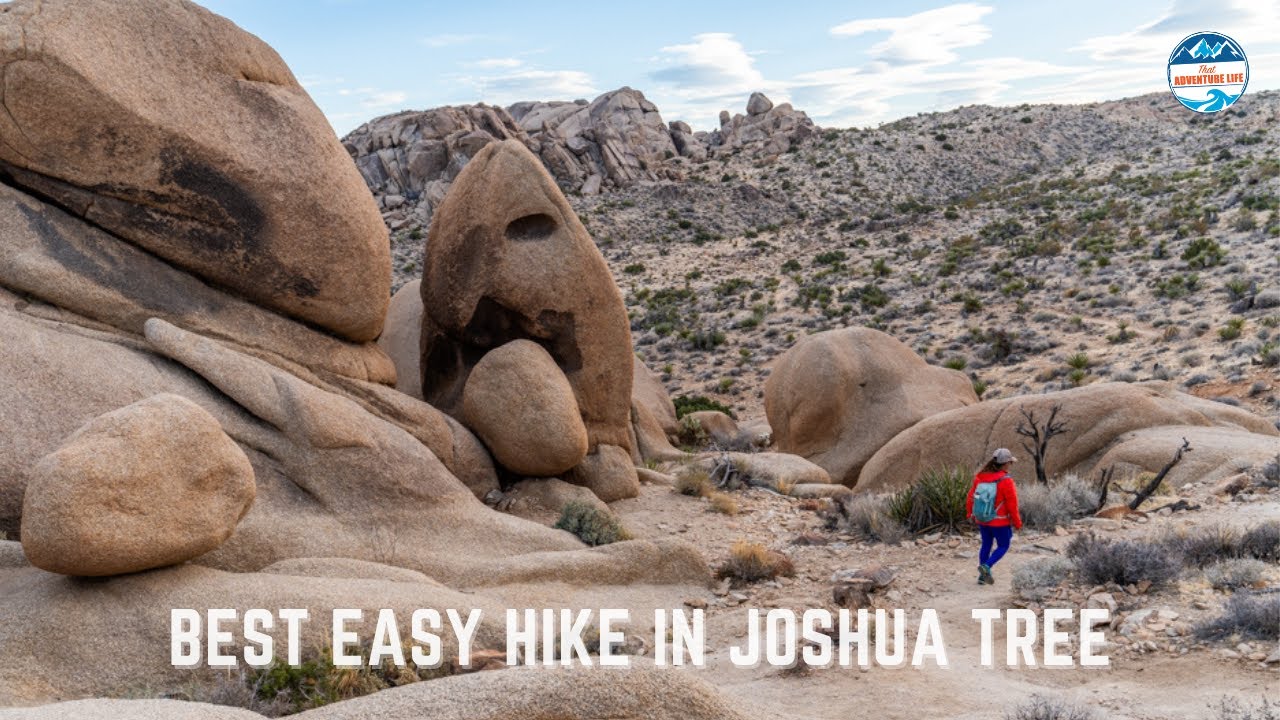 Split Rock Trail, One of the Best Easy Hikes in Joshua Tree National ...