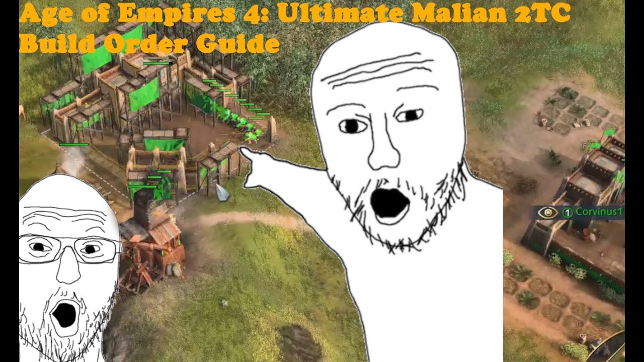 Age of Empires 4: Ultimate Malian 2TC Build Order Guide - YouTube